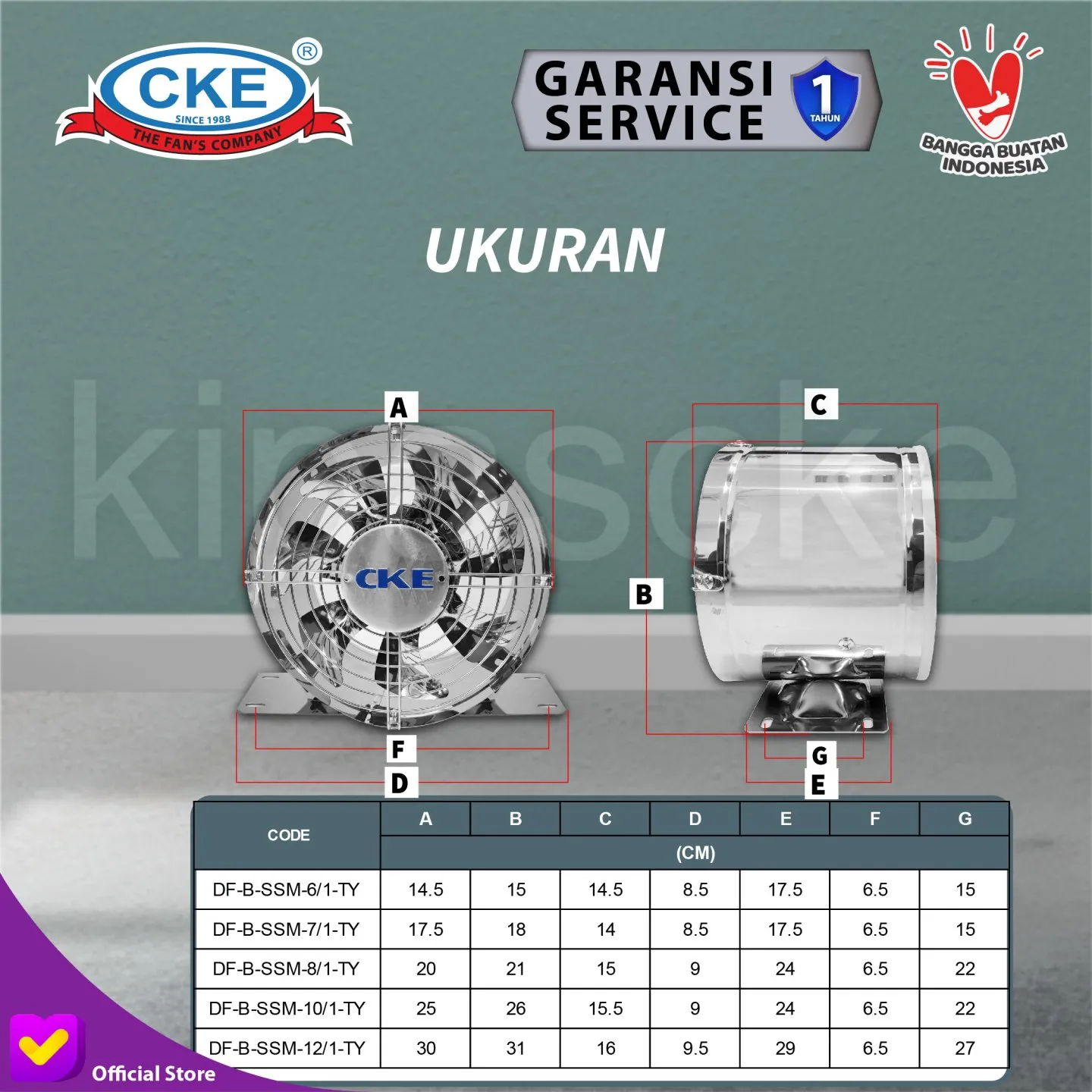 DF-B-SSM-10/1-TY | Drum Fan | KIPAS CKE